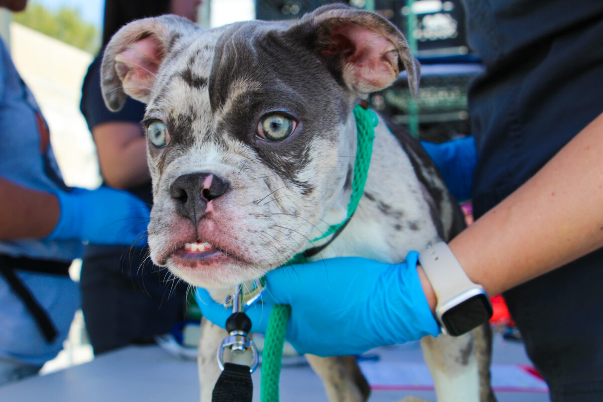 Events from October 25 – August 20 – Foothill Unity Center