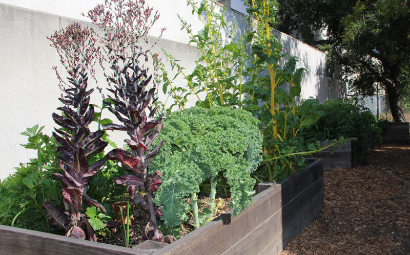 Home - Foothill Unity Center - Food Bank and Support Services